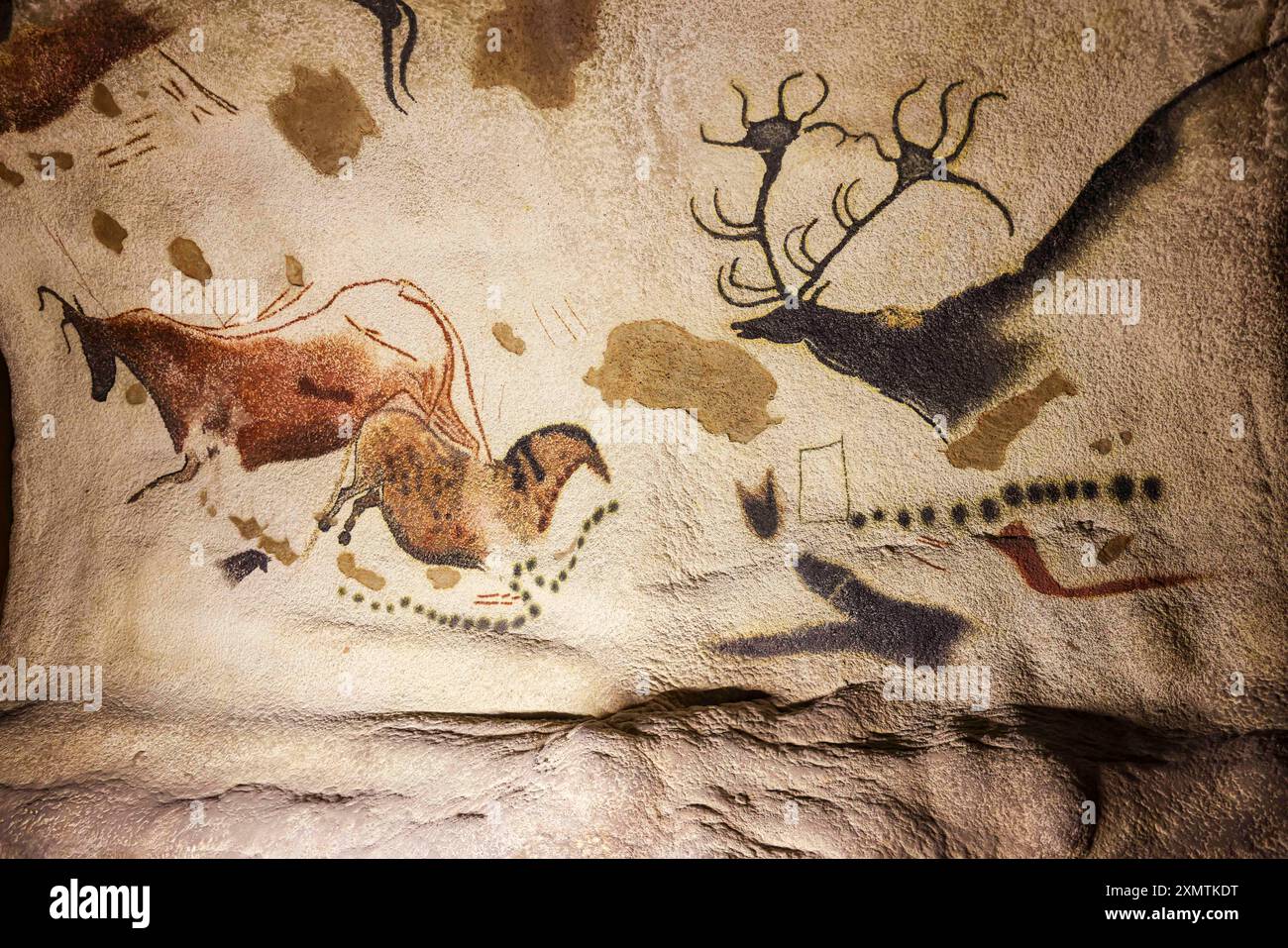 Caveman, Neanderthal, Primate, Homo Habilis, Homo Rudolfensis, Homo ...