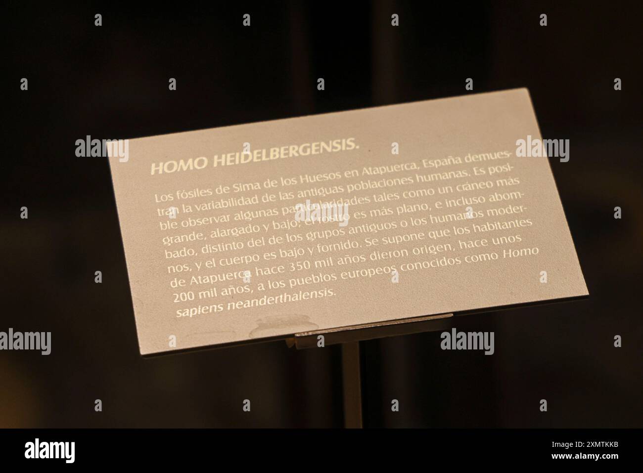Caveman, Neanderthal, Primate, Homo Habilis, Homo Rudolfensis, Homo ...