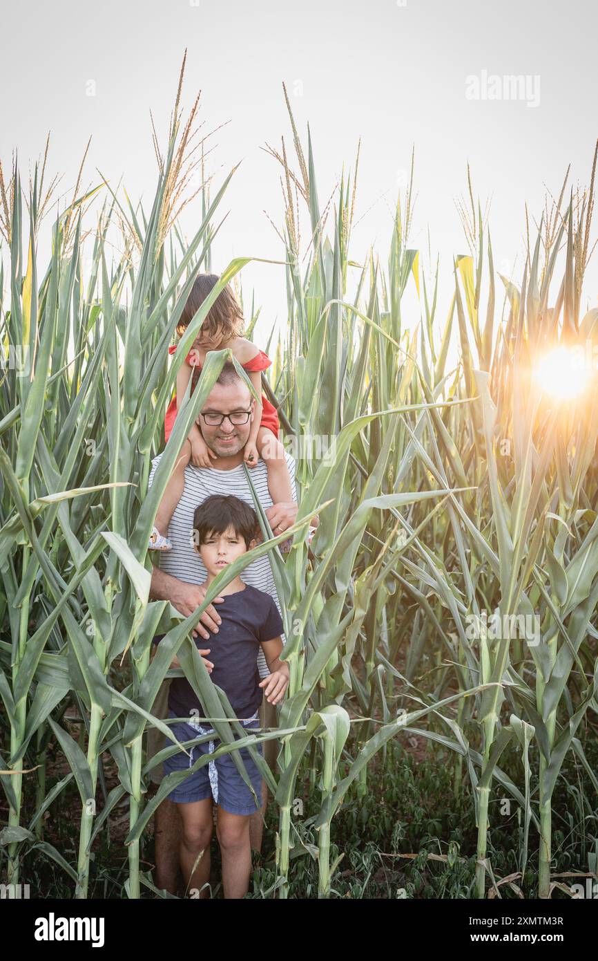 Corn field piggyback hi-res stock photography and images - Alamy