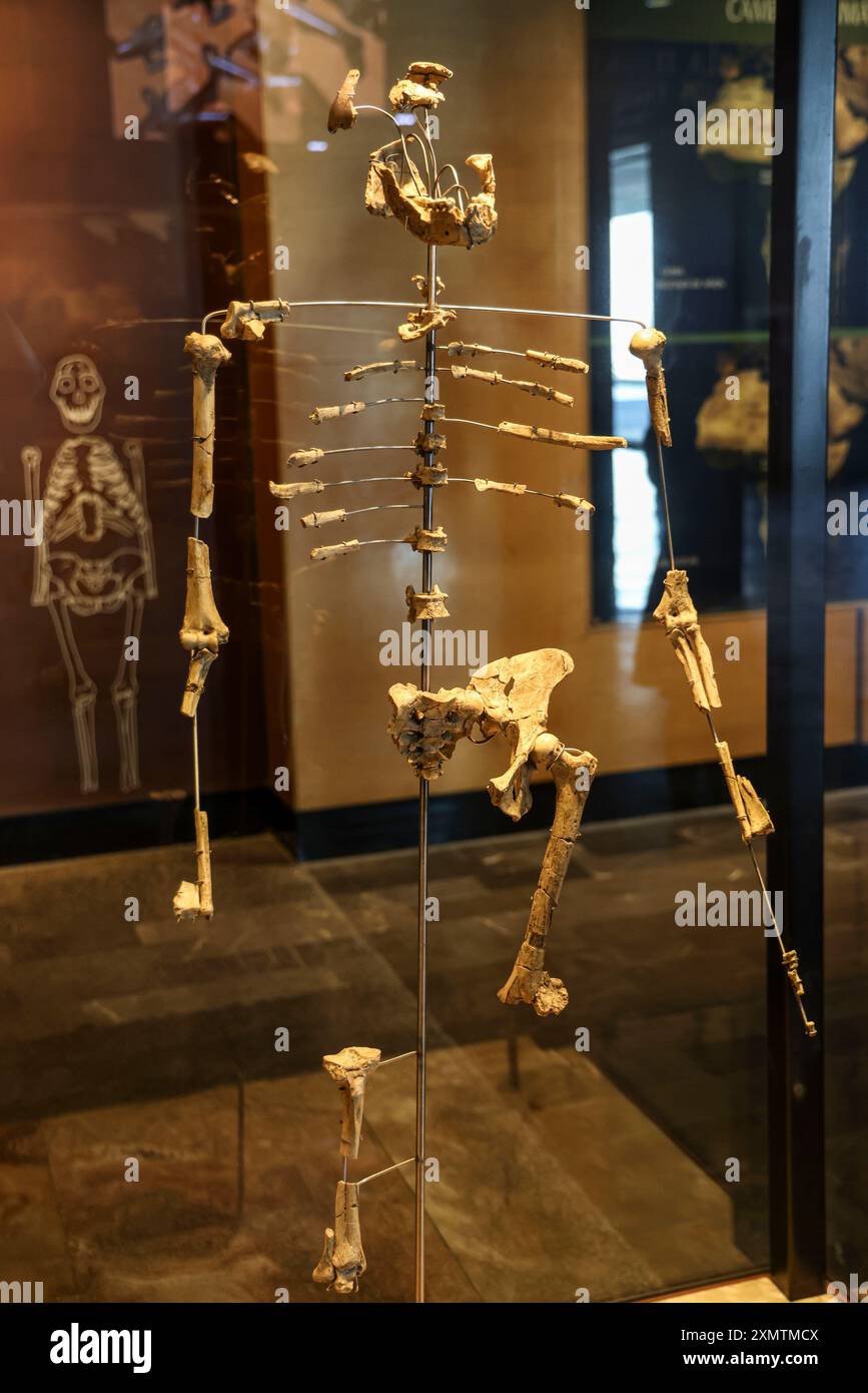 Caveman, Neanderthal, Primate, Homo Habilis, Homo Rudolfensis, Homo ...