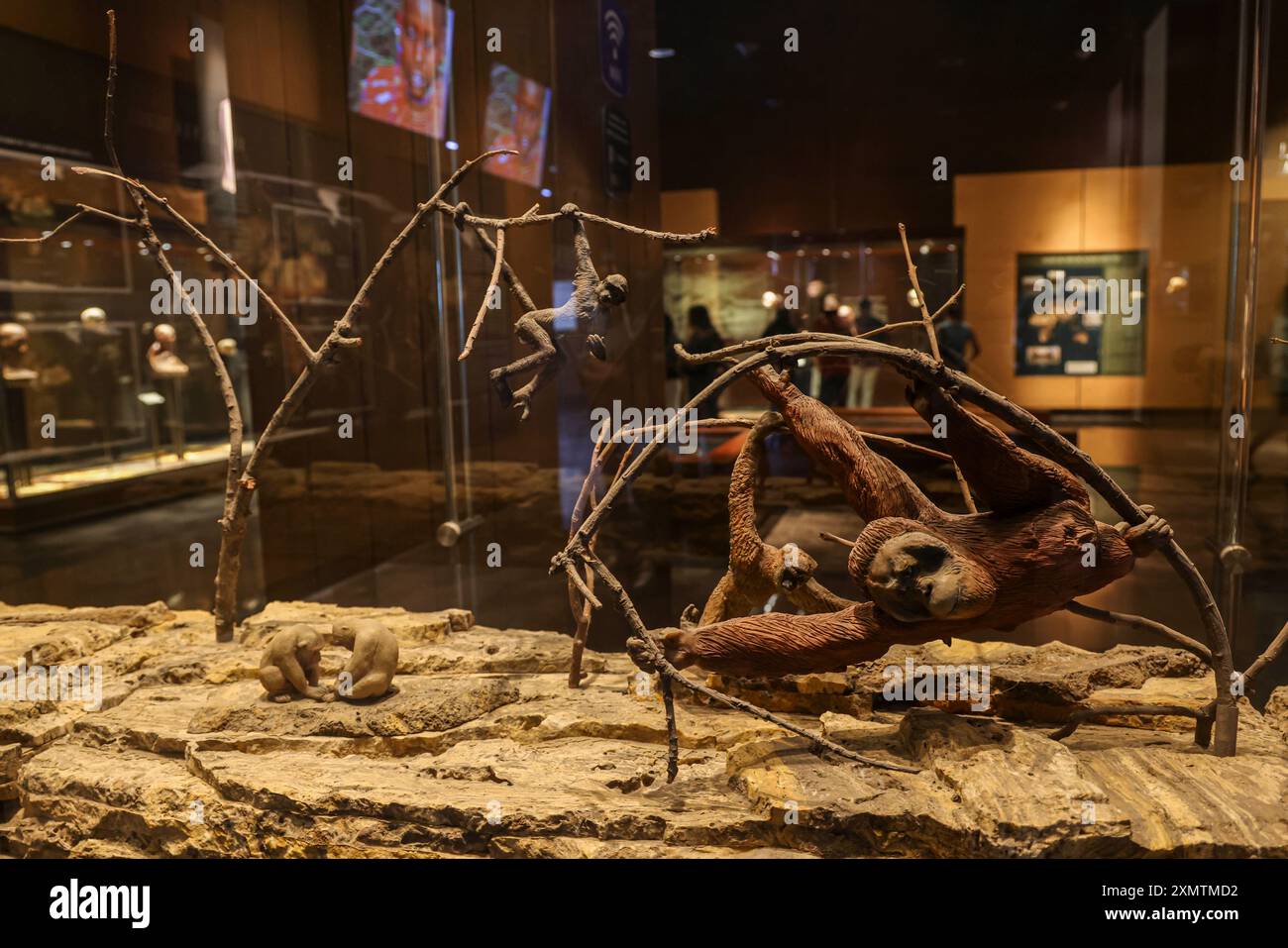 Caveman, Neanderthal, Primate, Homo Habilis, Homo Rudolfensis, Homo ...