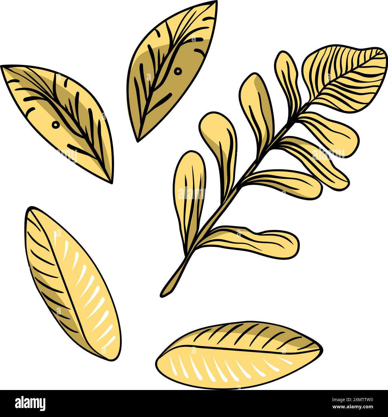 Tropical decorative leaves vector illustration Stock Vector Image & Art ...