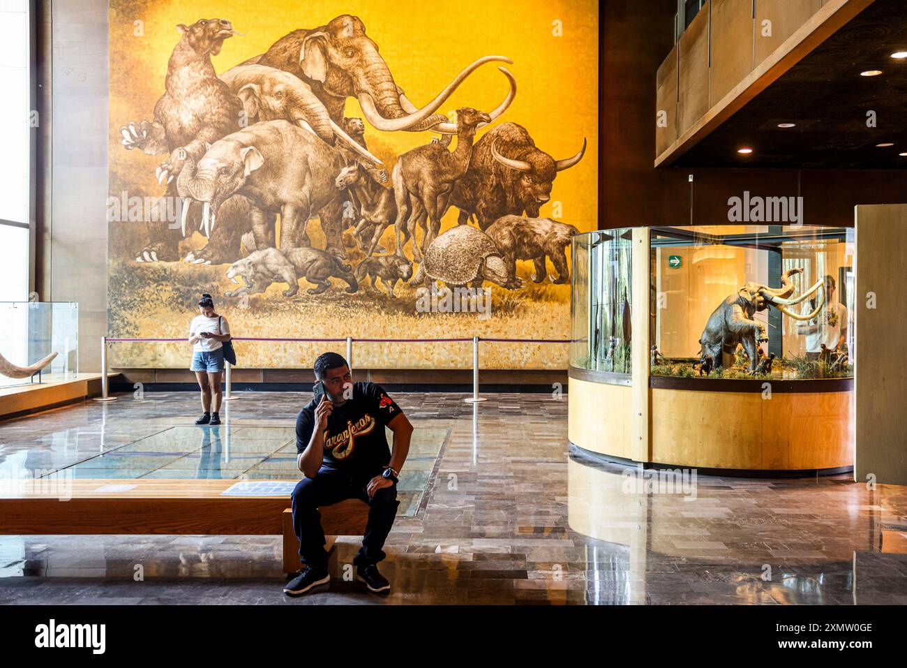 Caveman, Neanderthal, Primate, Homo Mammuthus, mammoth, Elephantidae ...