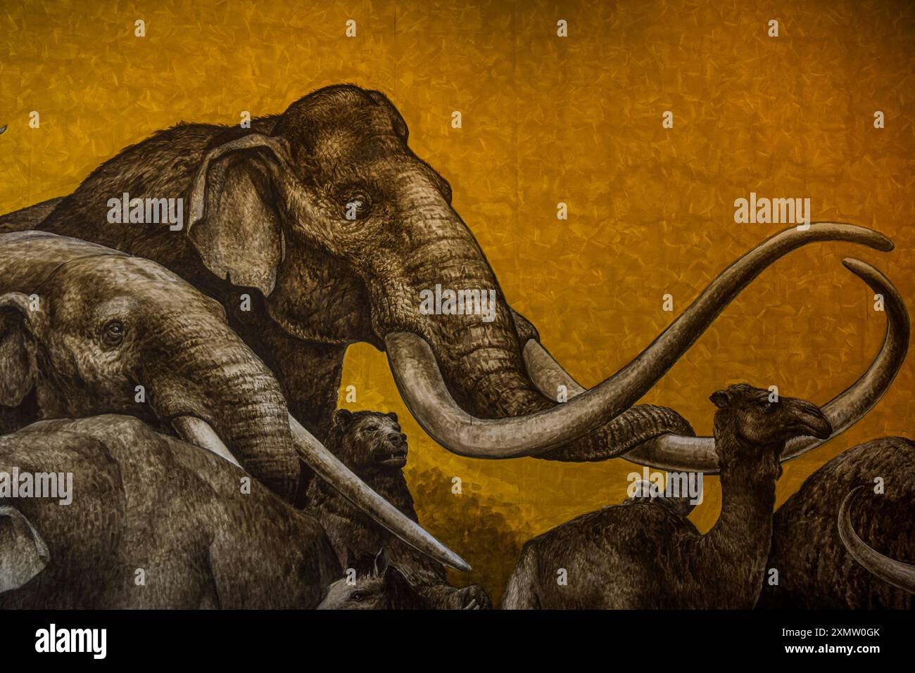 Caveman, Neanderthal, Primate, Homo Mammuthus, mammoth, Elephantidae ...