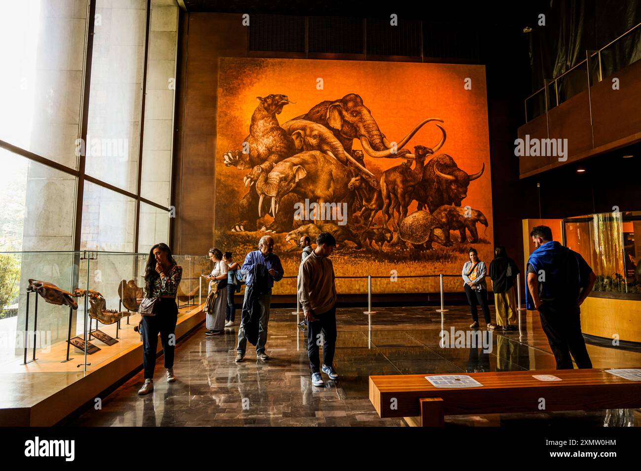 Caveman, Neanderthal, Primate, Homo Habilis, Homo Rudolfensis, Homo ...