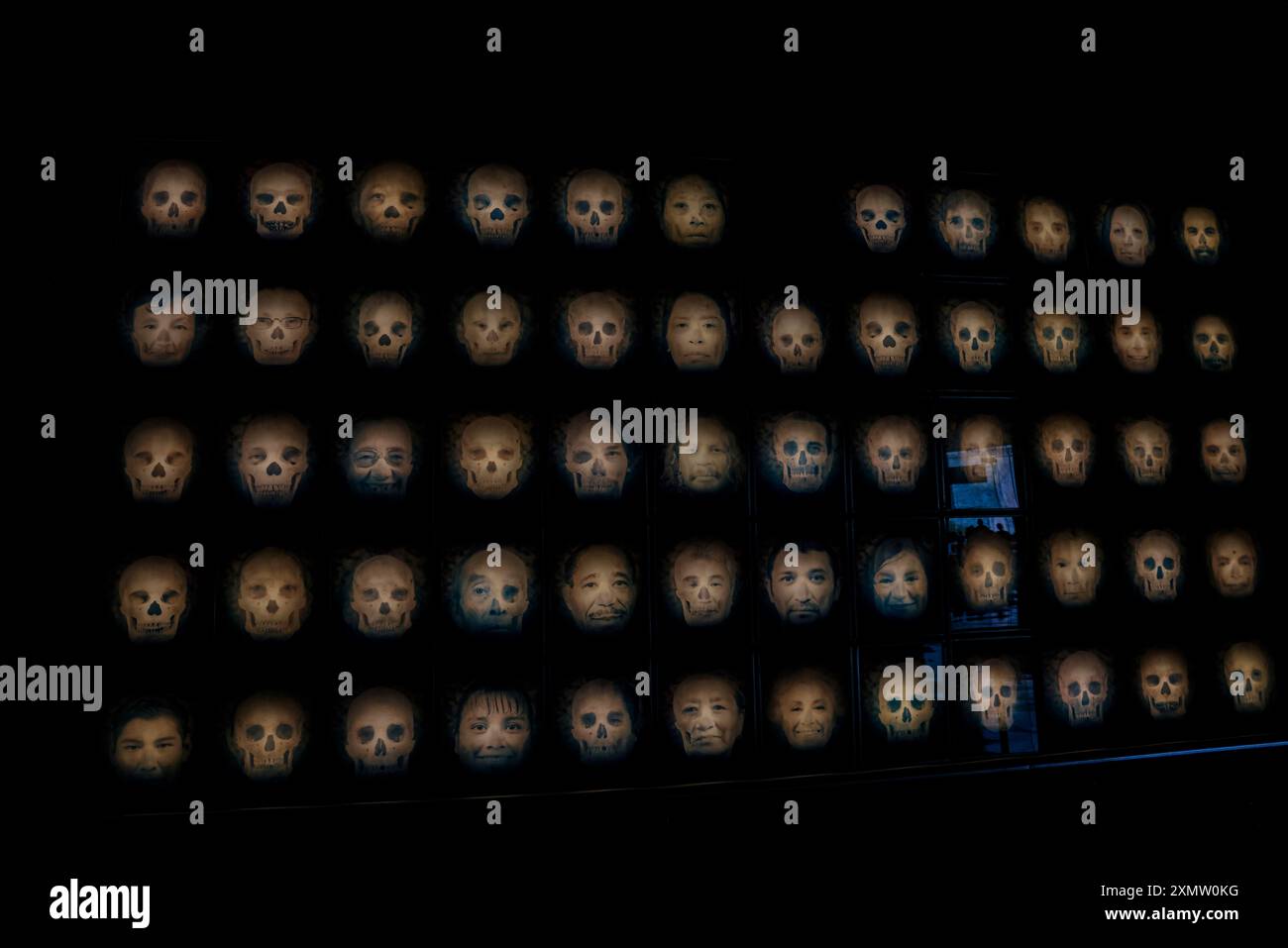 Caveman, Neanderthal, Primate, Homo Habilis, Homo Rudolfensis, Homo ...