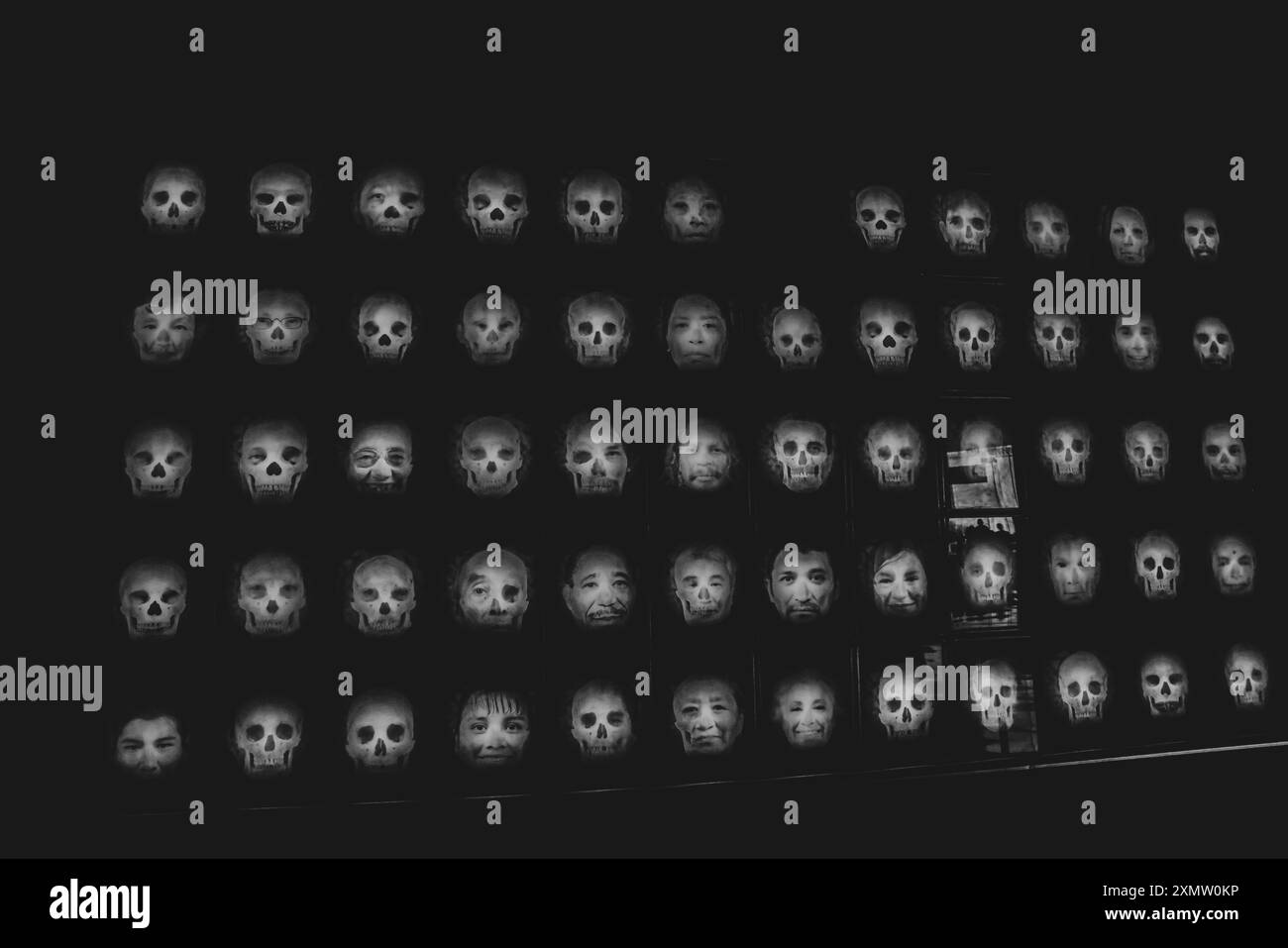 Caveman, Neanderthal, Primate, Homo Habilis, Homo Rudolfensis, Homo ...