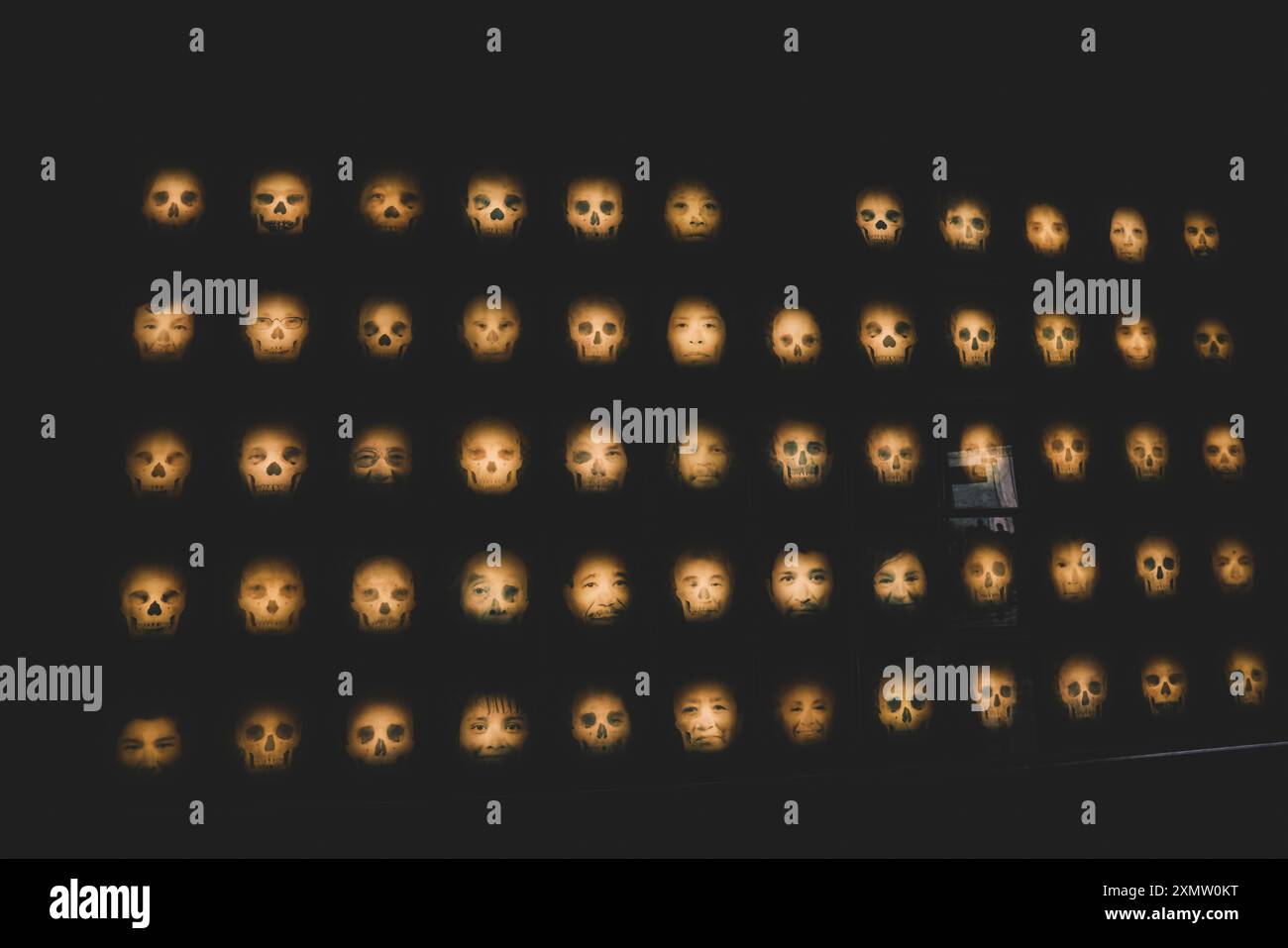 Caveman, Neanderthal, Primate, Homo Habilis, Homo Rudolfensis, Homo ...