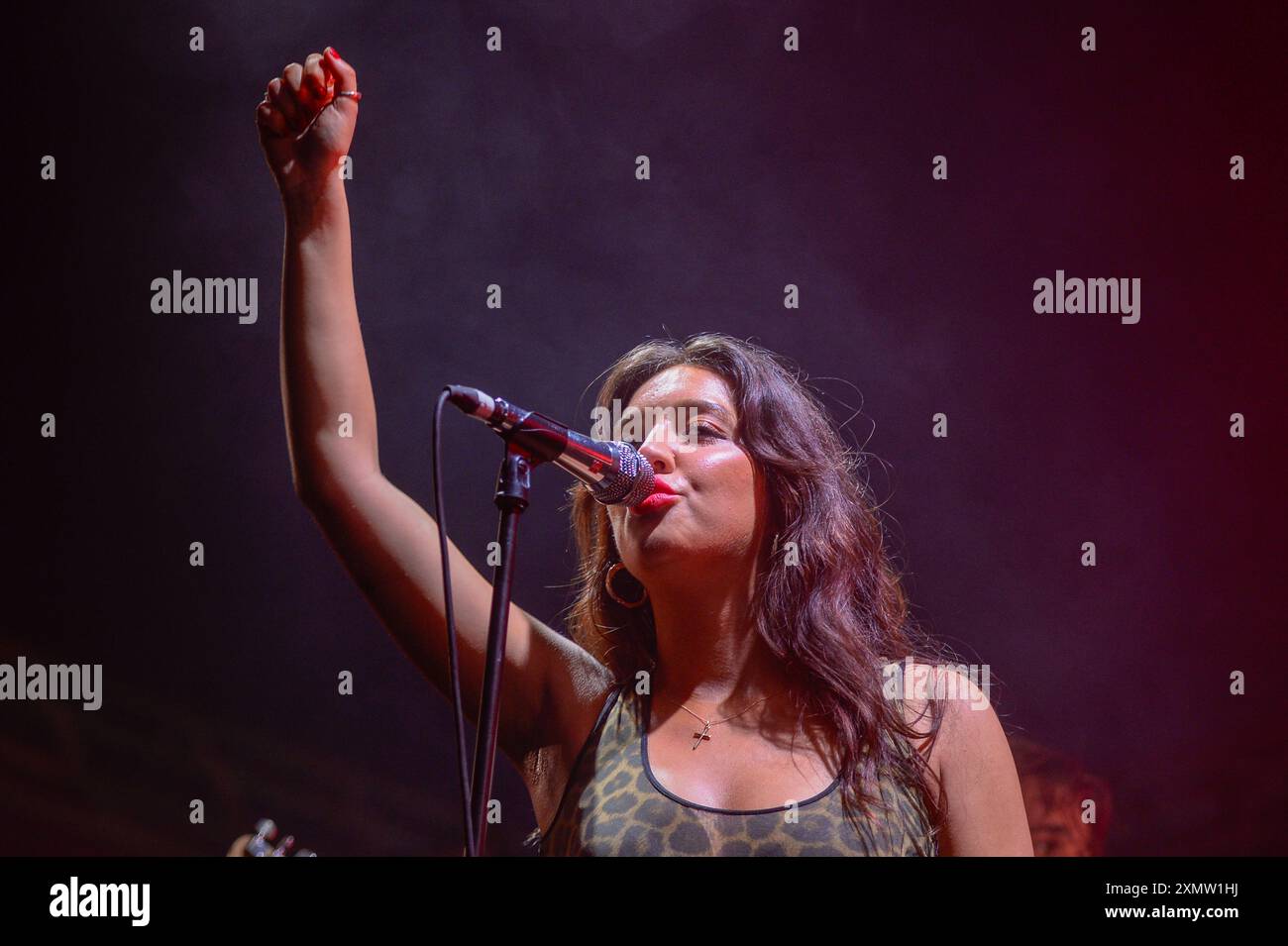 Pigeon detectives tramlines hi-res stock photography and images - Alamy