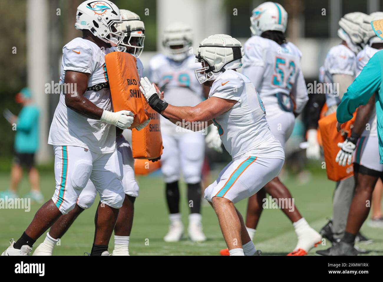 Miami Gardens, FL USA; Miami Dolphins offensive lineman Andrew Meyer ...