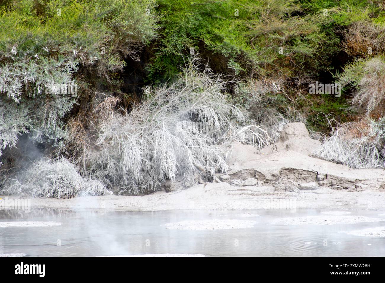 Waiotapu Mud Pool - New Zealand Stock Photo - Alamy