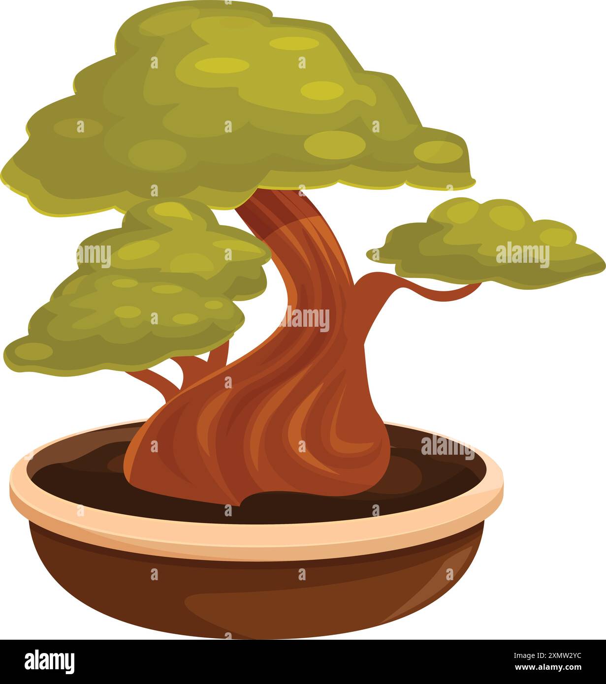 Miniature tree with a thick curved trunk growing in a ceramic pot Stock ...