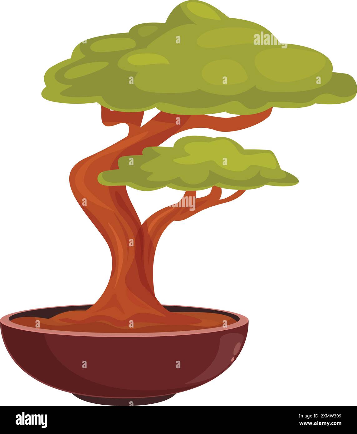Small bonsai tree with a lush crown growing in a pot, an example of ...