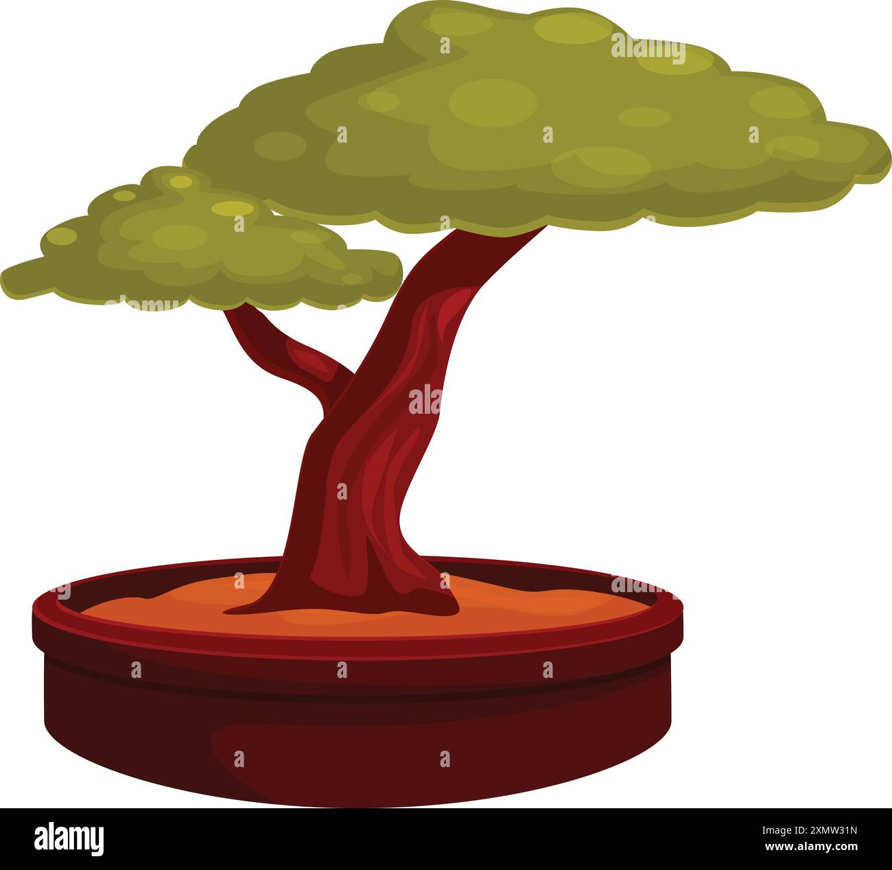 Small bonsai tree with a thick curved trunk growing in a clay pot Stock ...