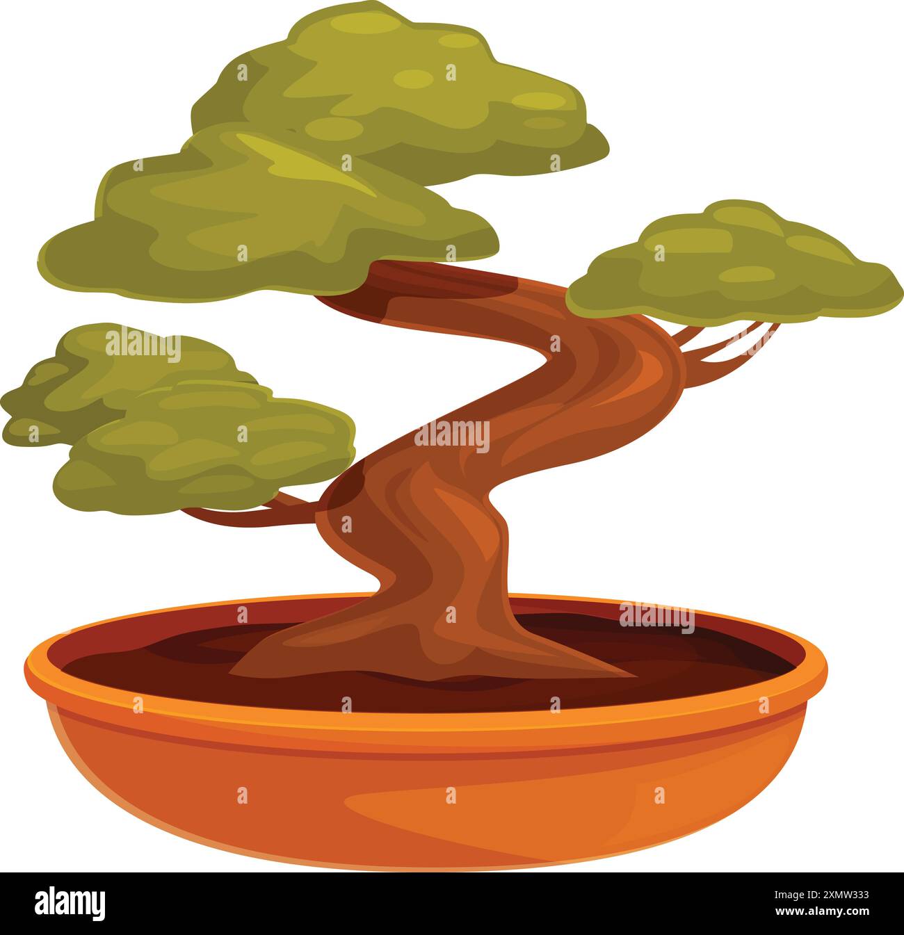Small bonsai tree with a curved trunk is growing in a terracotta ...