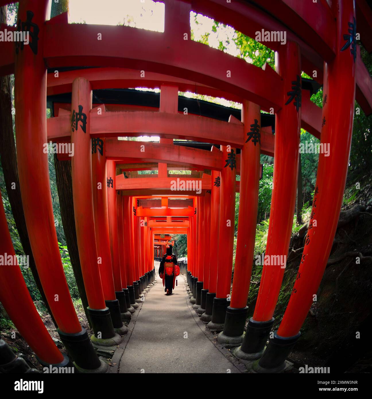 Tori gates, Fushimi Inari-taisha shrine, Kyoto,Japan Stock Photo - Alamy