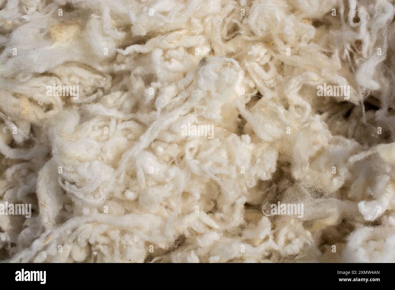 Heap of wool as a texture background Stock Photo - Alamy