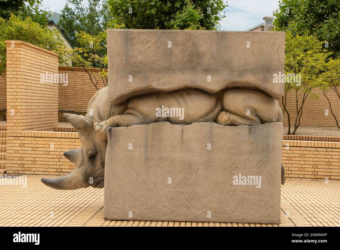 Trapped rhino hi-res stock photography and images - Alamy
