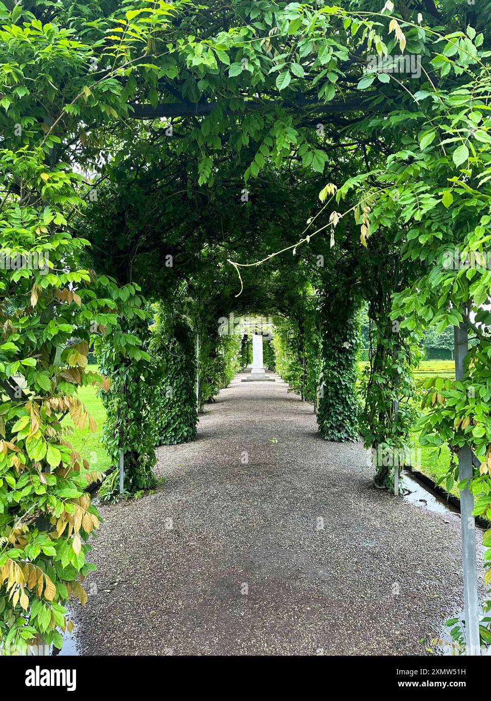 Tunnel made of plants and pathway in park Stock Photo - Alamy