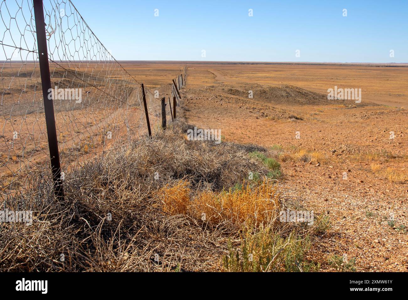 Dingo fence australia hi-res stock photography and images - Alamy