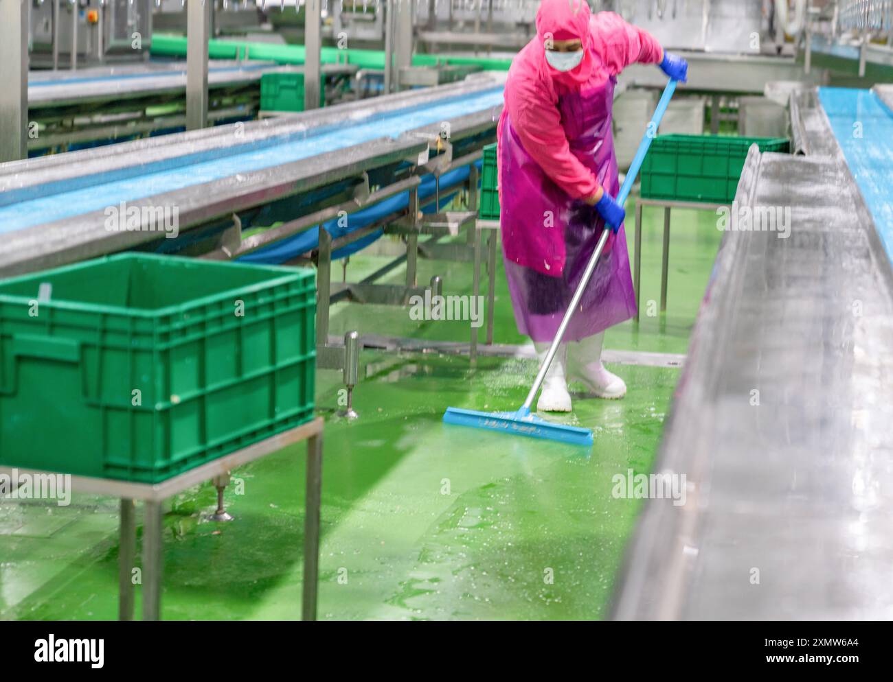 Worker using mop for cleaning floor in production line, Cleaning ...