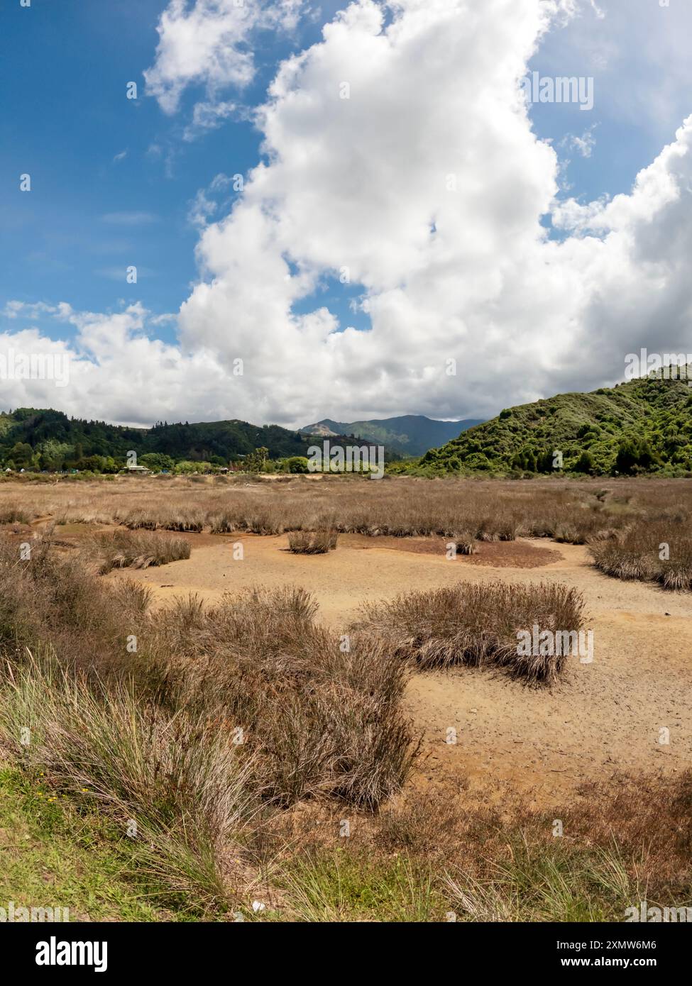 Abel Tasman National Park stunning coastal landscape of featuring ...