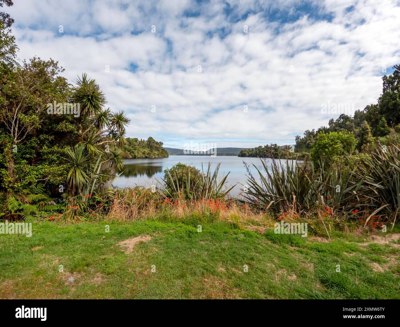 West Coast inland panoramic landscape with lush green native forest and ...
