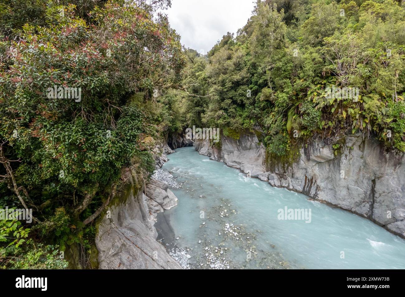 Bridge amidst lush rainforest in hi-res stock photography and images ...