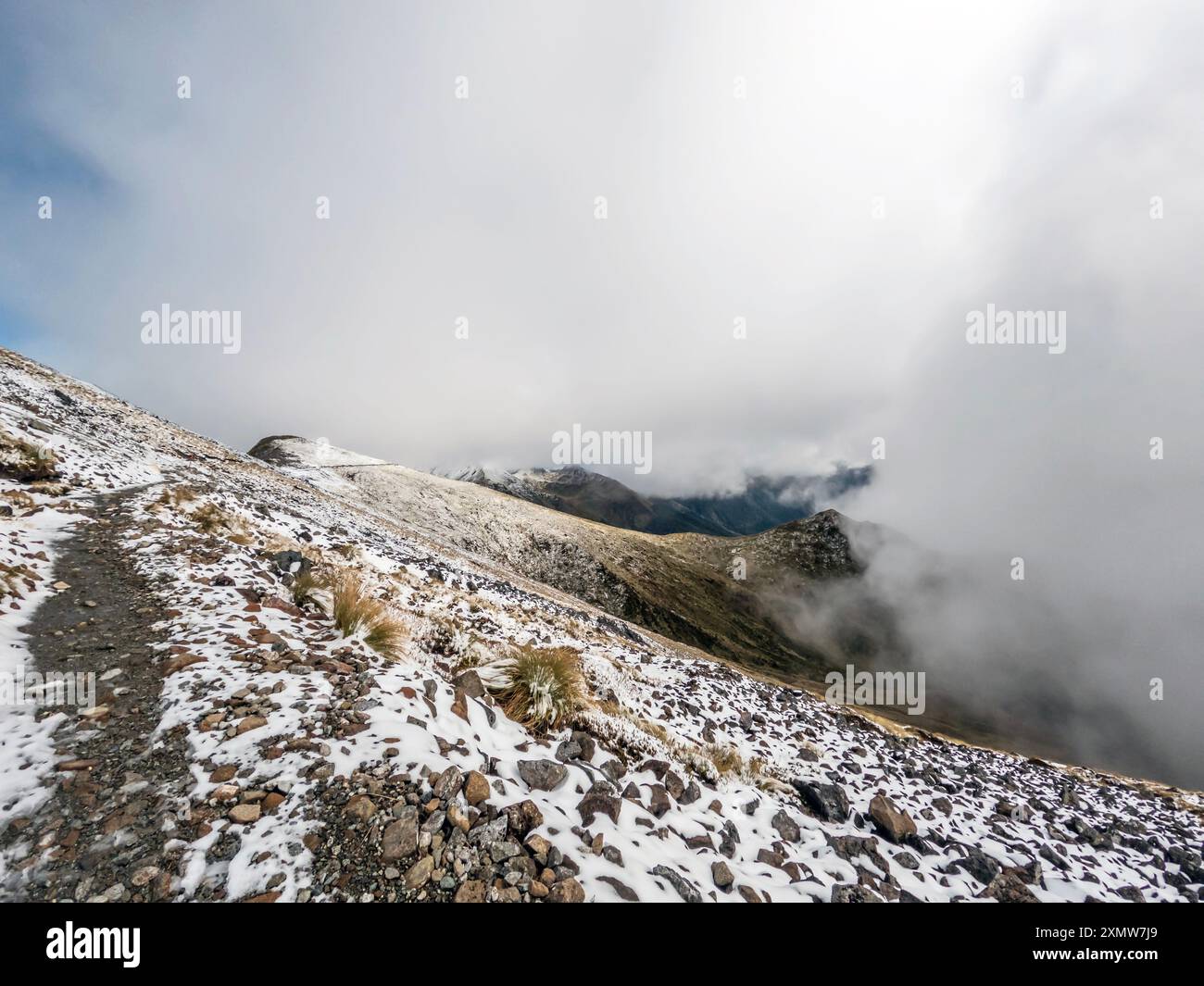Kepler Track - New Zealand's Great Walk : Alpine Landscape featuring ...