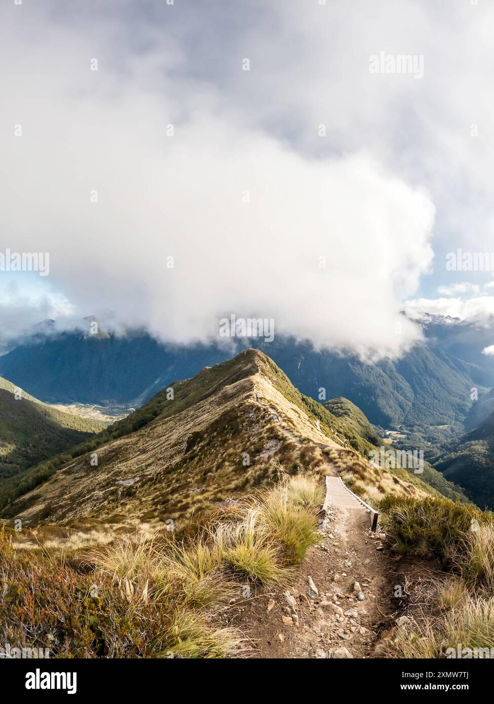Kepler Track - New Zealand's Great Walk : Alpine Landscape featuring ...