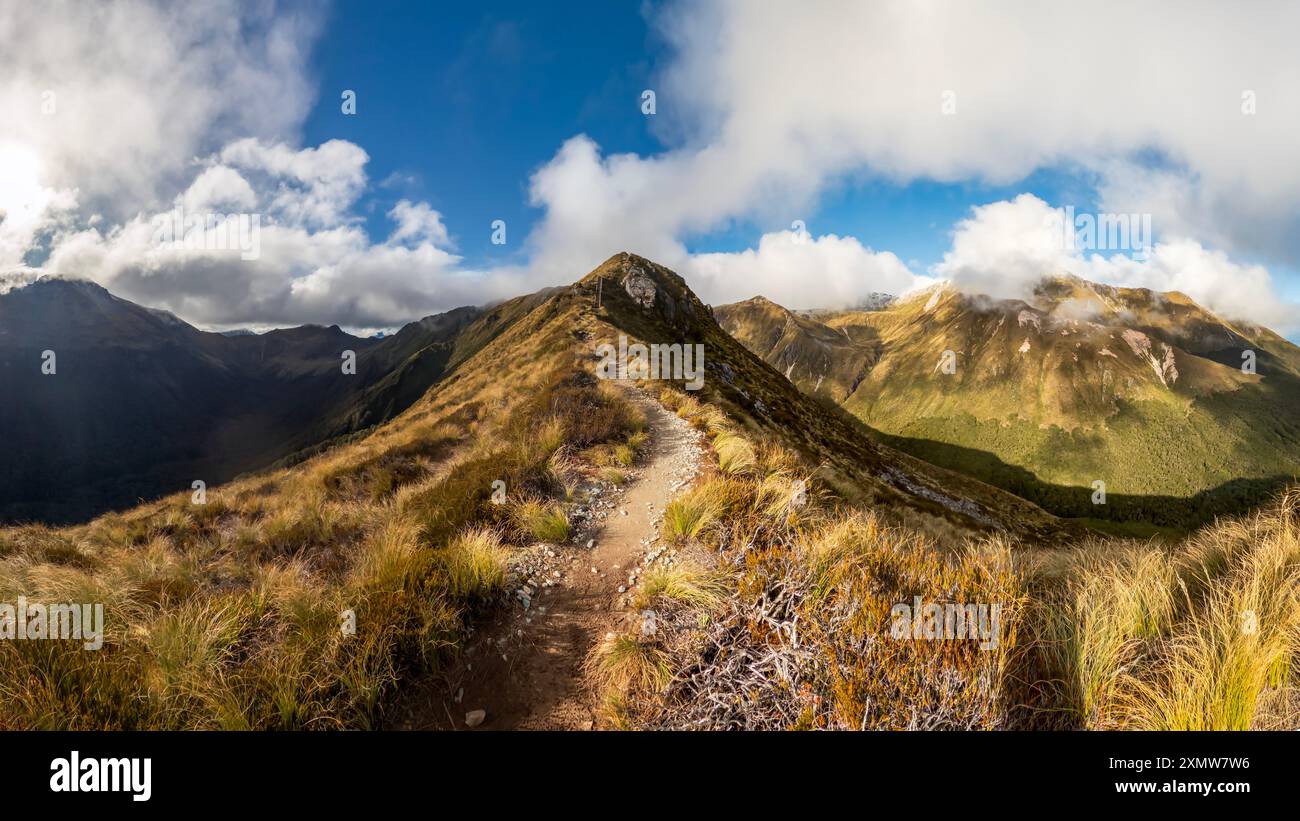 Kepler Track Panorama: Expansive Wilderness Landscape Revealing ...