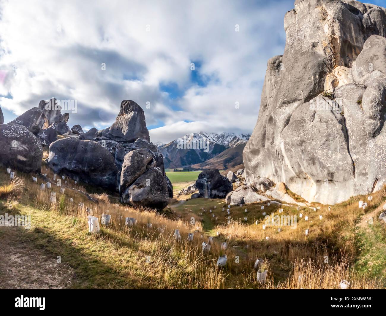 Southern Alps Adventure: Castle Hill Landscape with Limestone Boulders ...