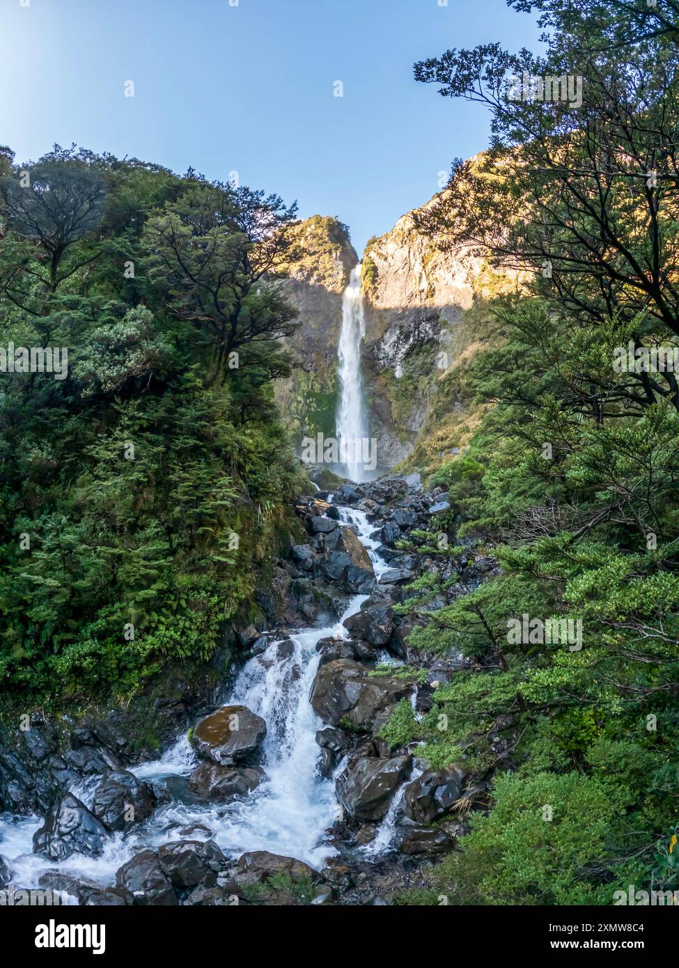 Devil's Punchbowl Waterfall amidst New Zealand's Pristine Wilderness in ...