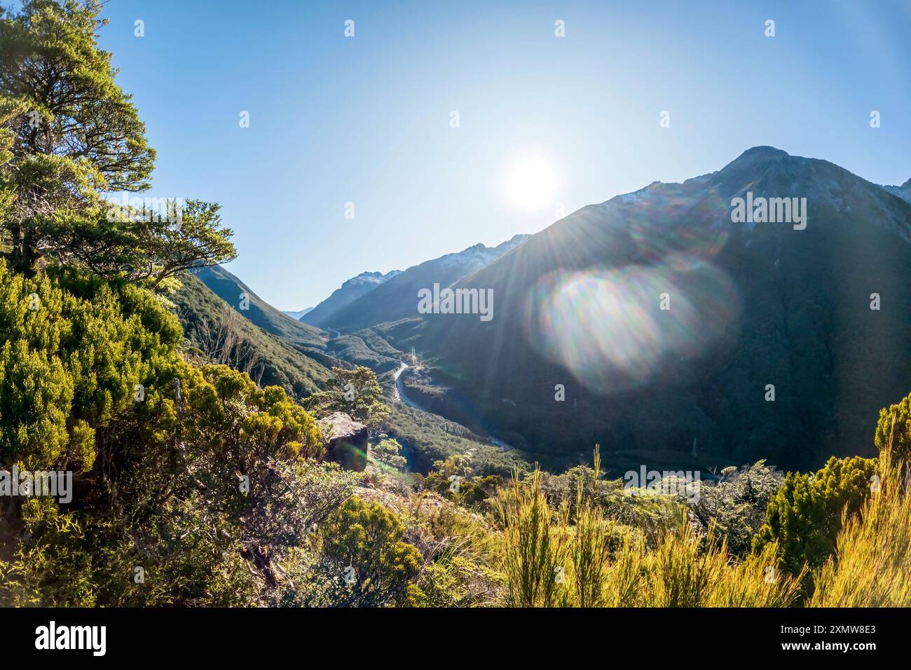 Alpine Adventure: Discovering Avalanche Peak Track and Scotts Track ...
