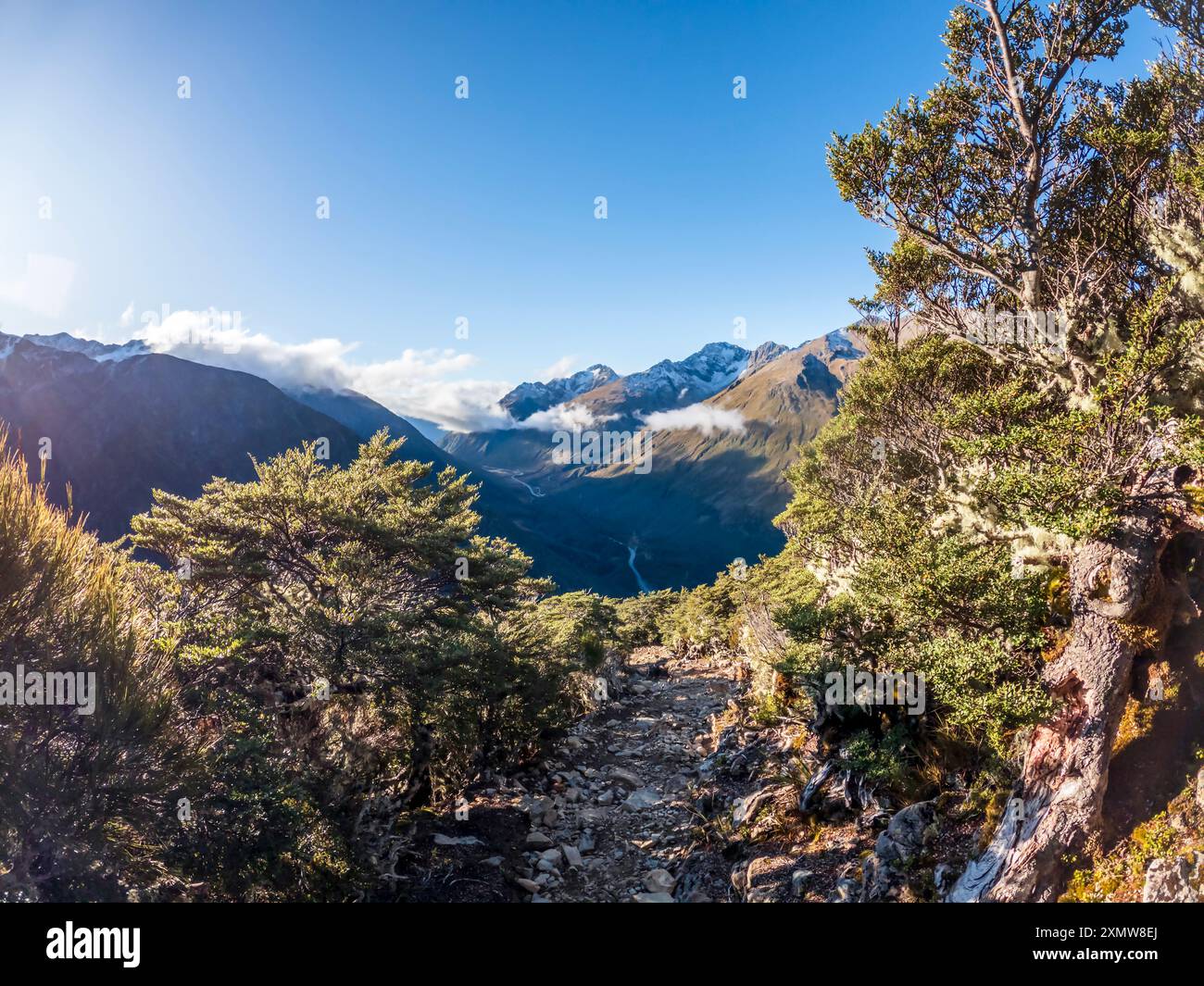 Alpine Adventure: Discovering Avalanche Peak Track and Scotts Track ...