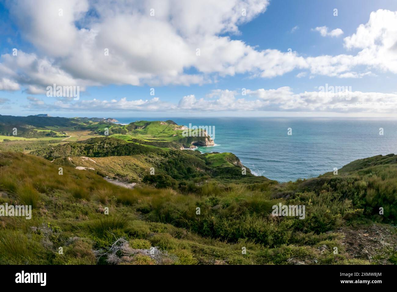 Puponga Hilltop Track landscape: Scenic coastal hike offering panoramic ...