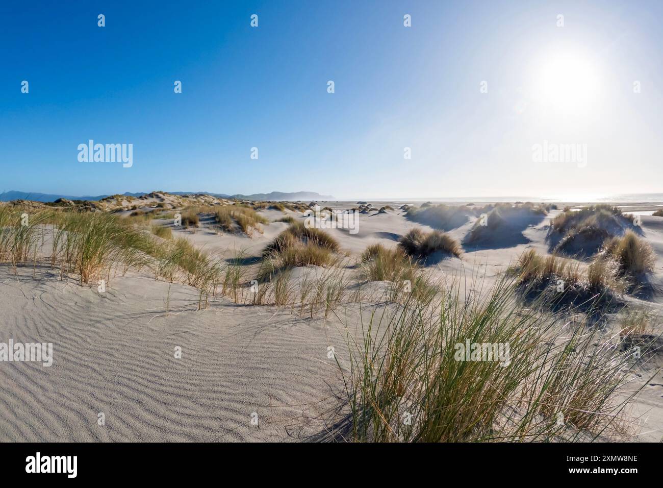 Farewell Spit : A majestic Coastal Landscape with Sand Dunes and Tasman ...
