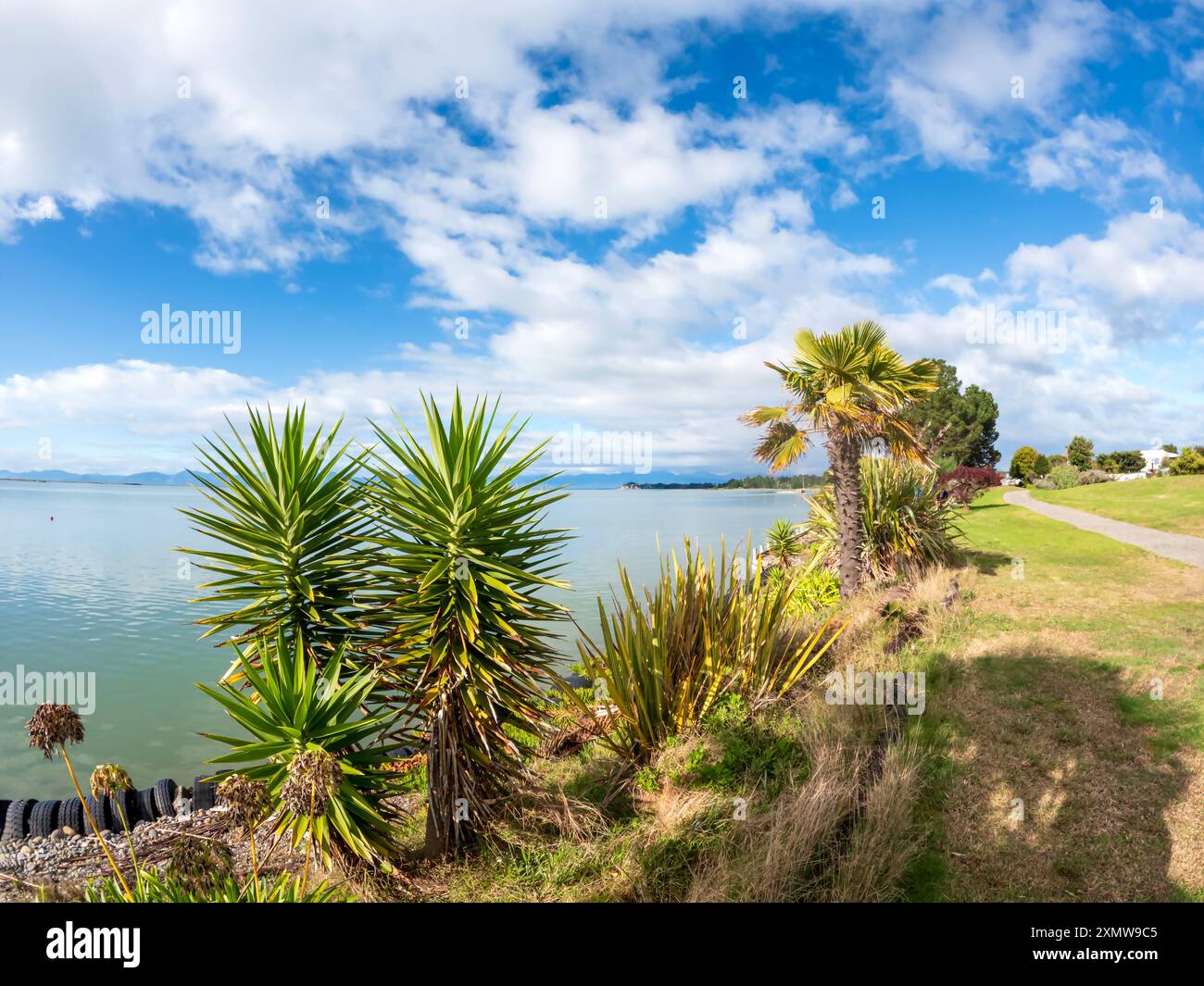 Motueka Beach Reserve Landscape with Cabbage Tree and blue sea water ...
