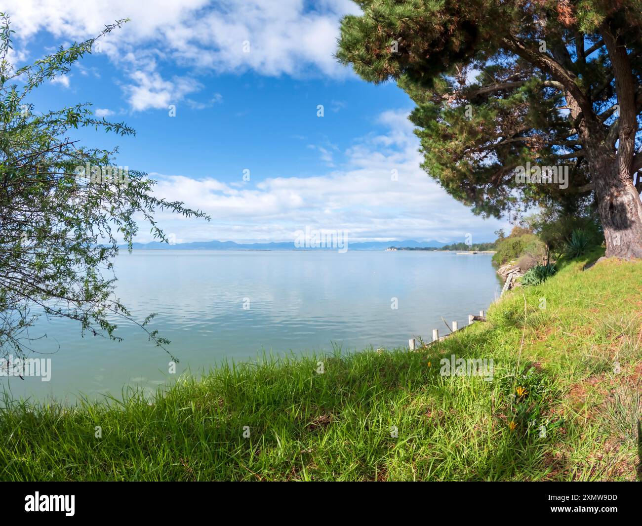 Motueka Beach Reserve Landscape with green native plants and blue sea ...