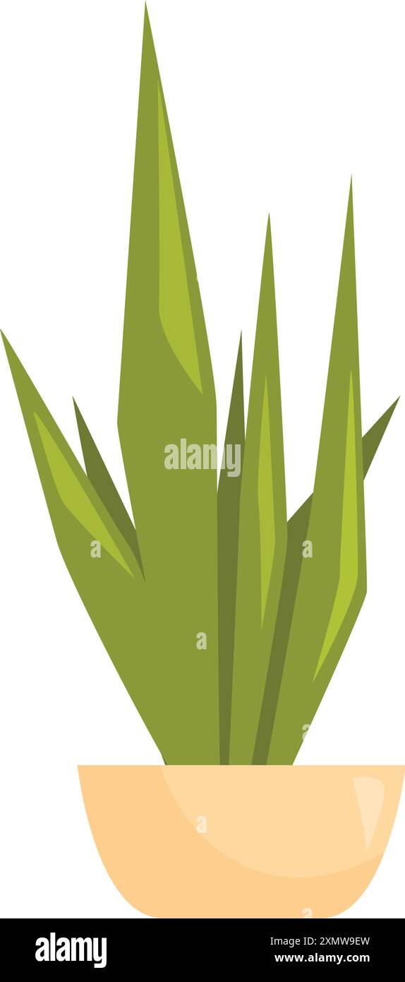 Green houseplant with long spiky leaves growing in pot, element for ...