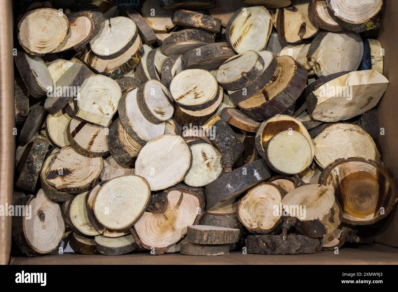 Wood Log cut in round thin pieces in view Stock Photo - Alamy