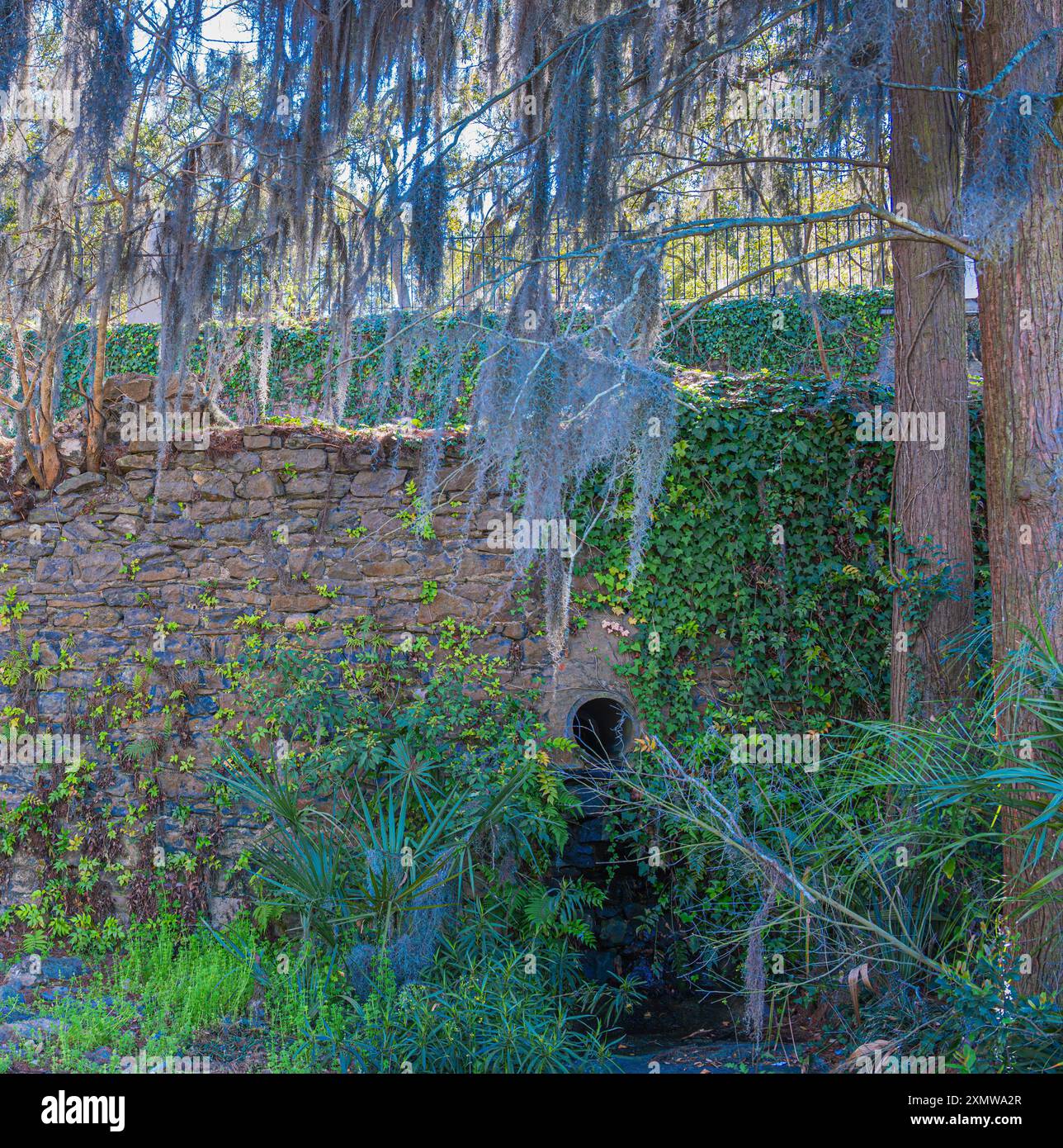 Stonework fence and Spanish moss hanging from trees Stock Photo - Alamy