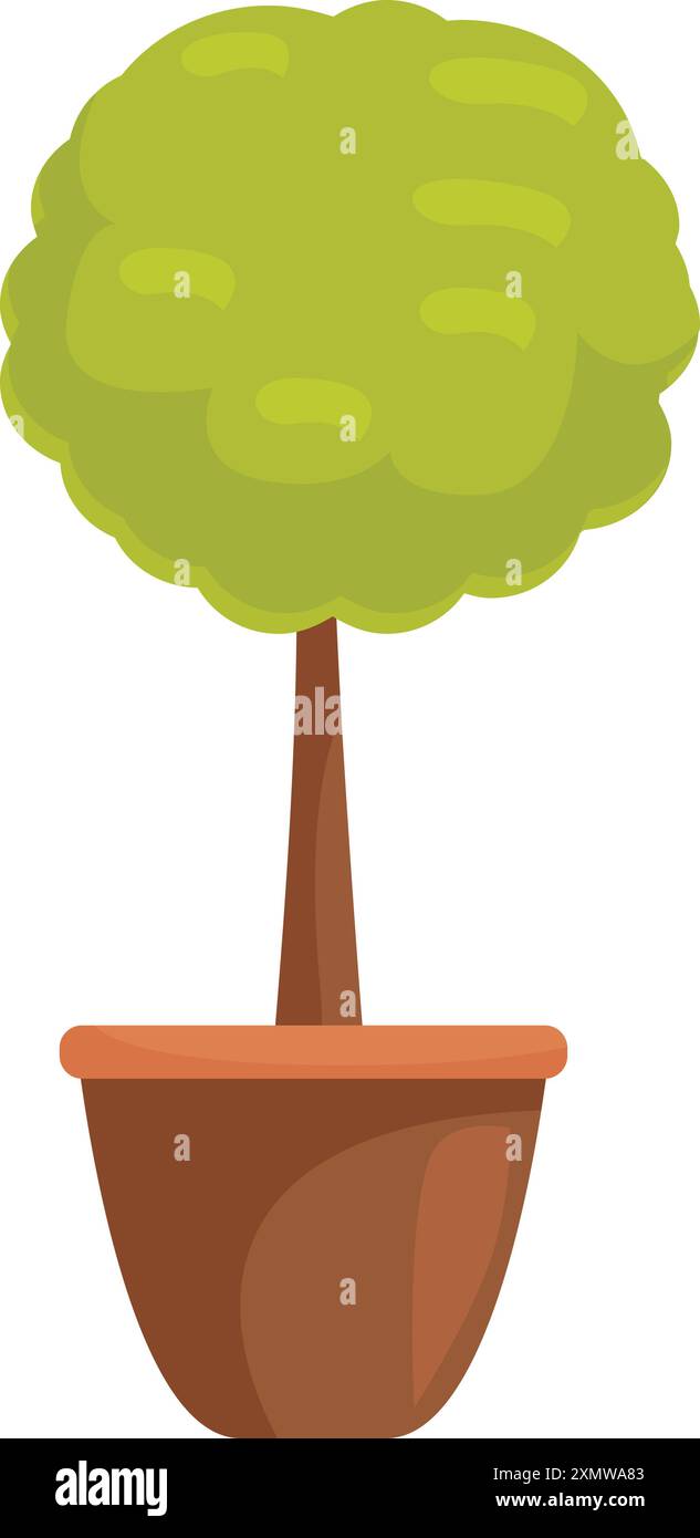 Round shaped tree growing in a pot for landscaping design hi-res stock ...