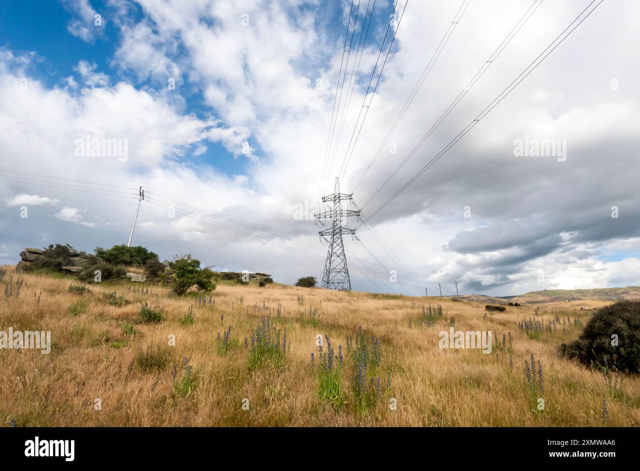 The Roxburgh Dam: Spectacular Scenery of Rolling Hills, Native Flora ...