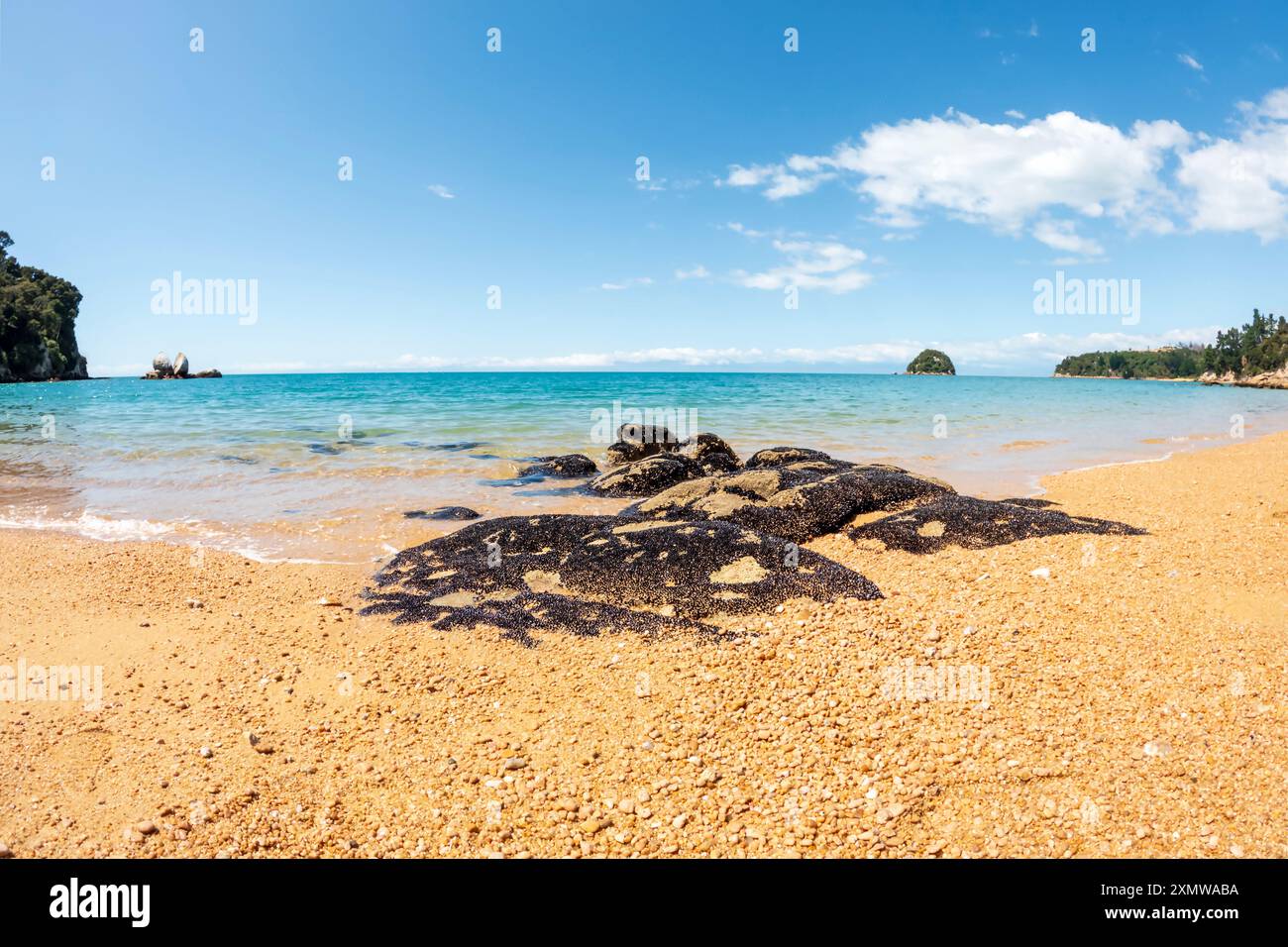 Golden Bay beach with Split Apple Rock geological rock formation in ...