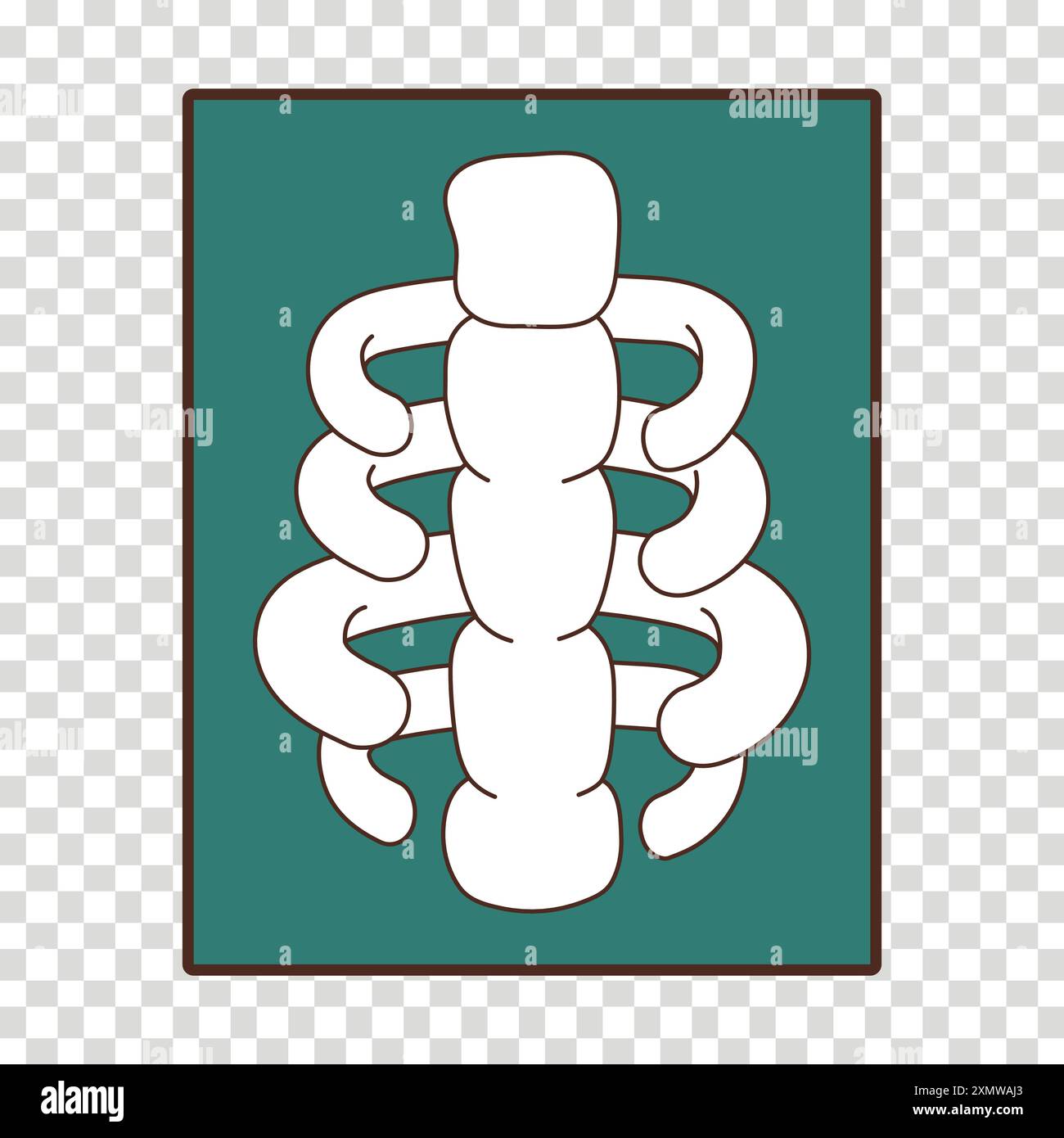 Cute spine x ray illustration poster Cut Out Stock Images & Pictures ...