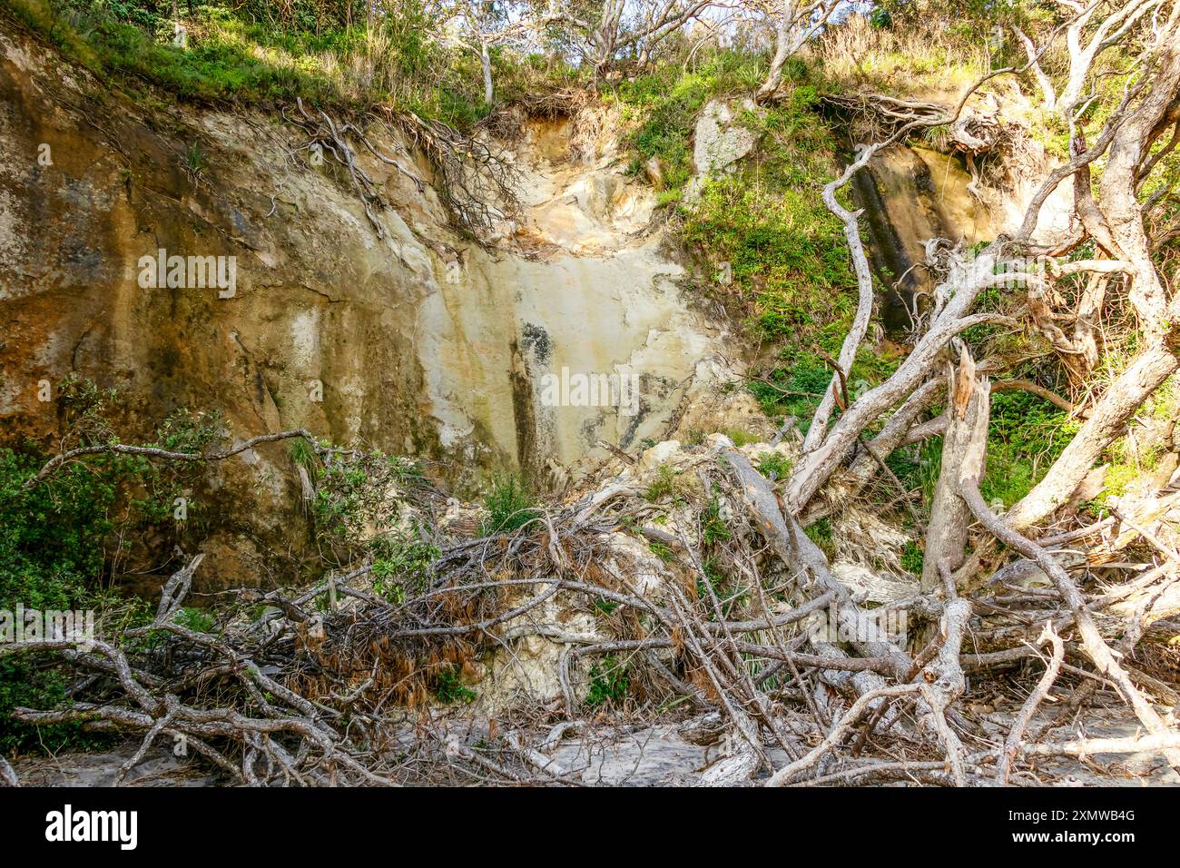 Cathedral Cove Beach Access Closed: Track Damage from Erosion, Fallen ...