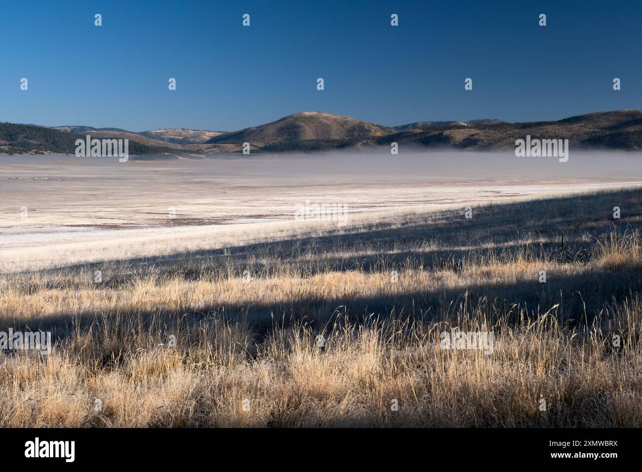 Morning fog draped across the valley at Valles Caldera National ...