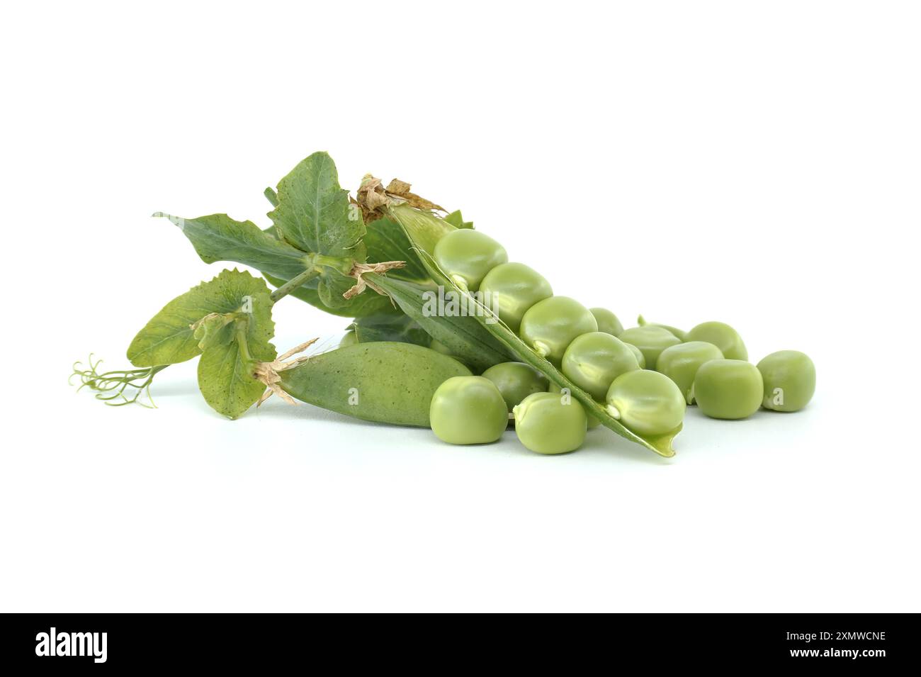 Bunch of green peas on a white background. The peas are in various ...