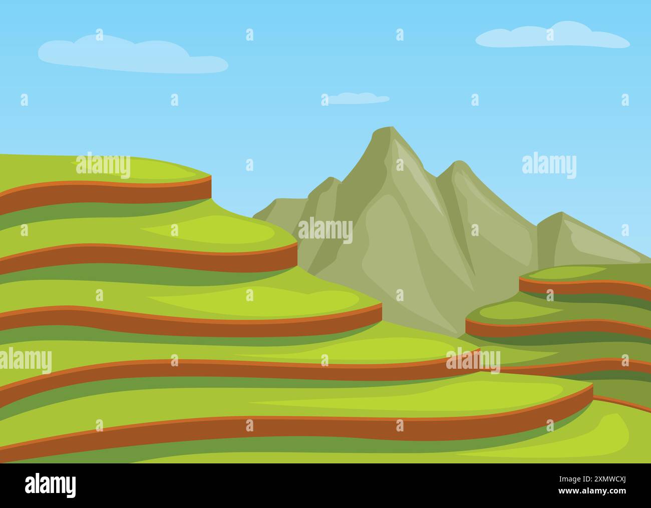 Green rice paddies forming steps cultivated on the slopes of a mountain ...